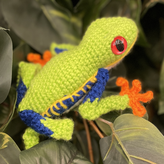 Ruby the Red Eyed Tree Frog - Critter-iffic Crochet