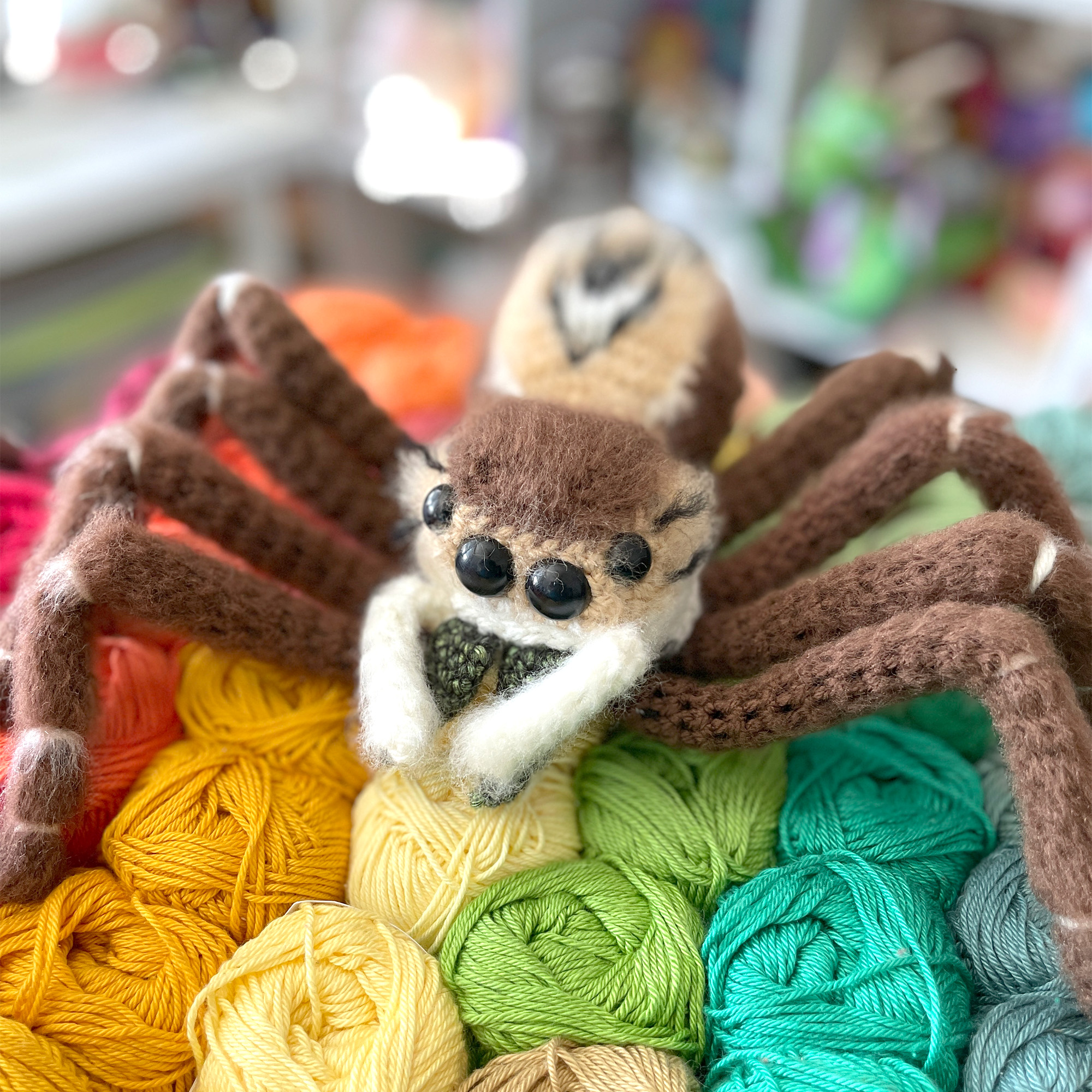 Scoot the Jumping Spider - Critter-iffic Crochet